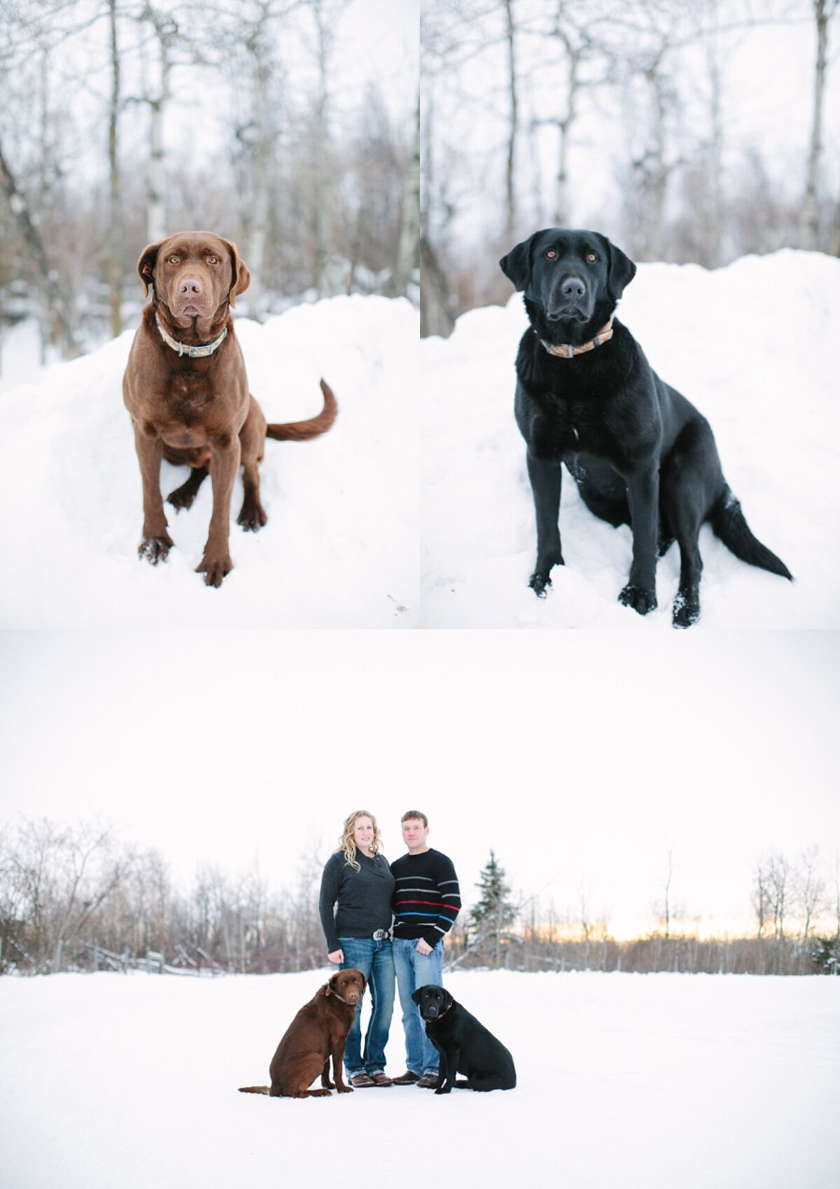 Monique + Matt {Vegreville Engagement Photographer} » Davin G Photography